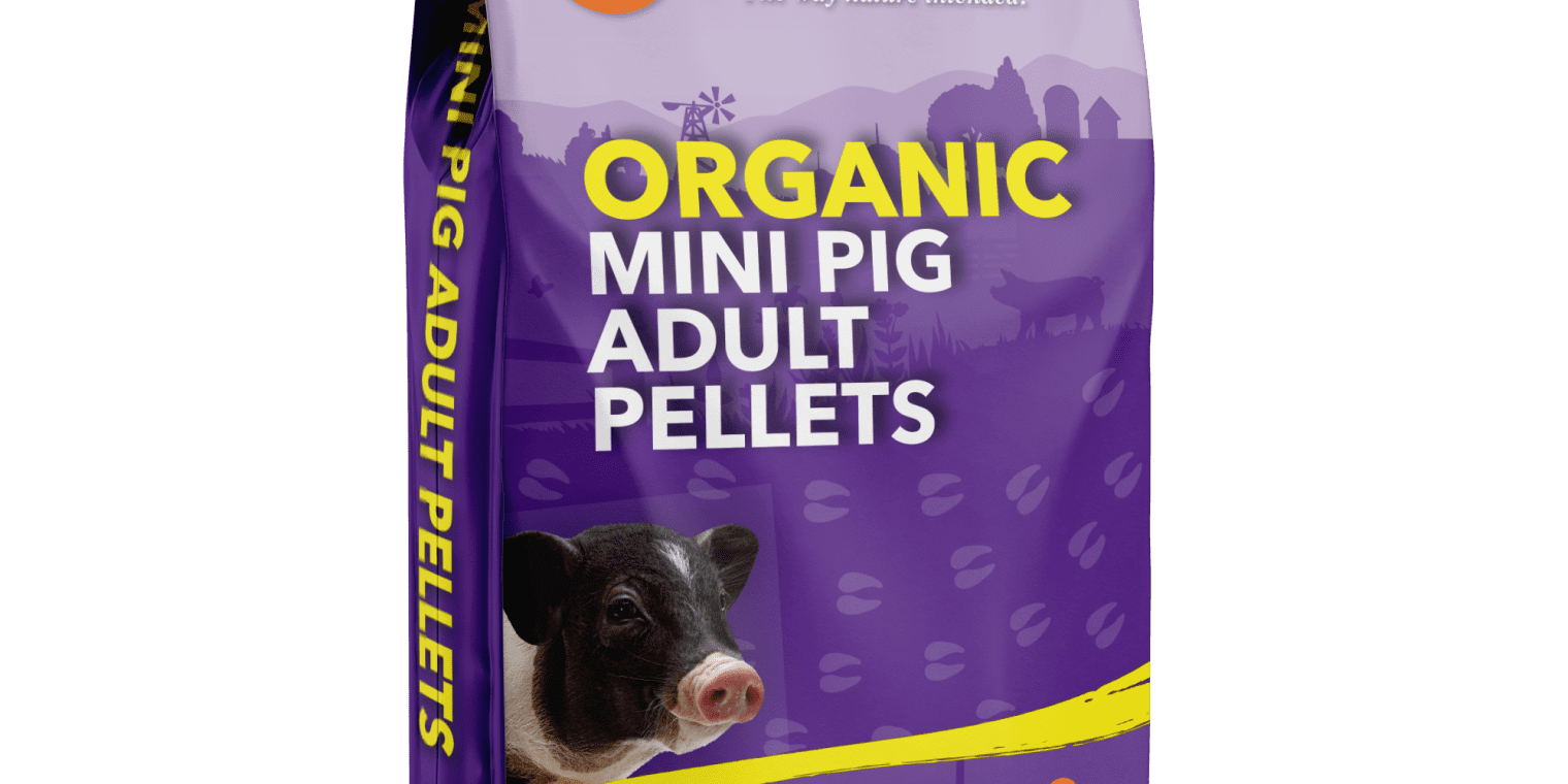 Buy Organic Adult Pig Pellets for Balanced Nutrition and Health