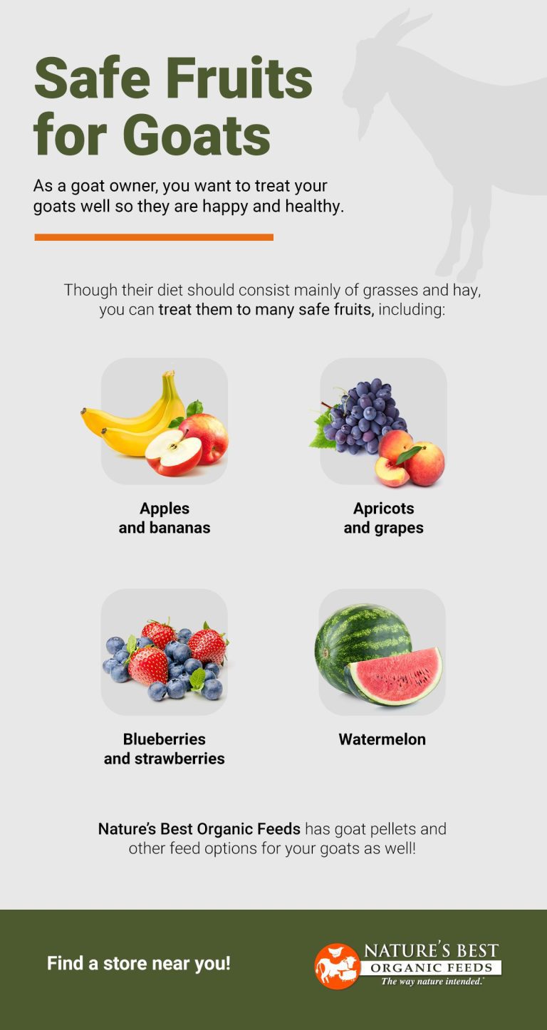 What Vegetables Can Goats Eat? | Nature's Best